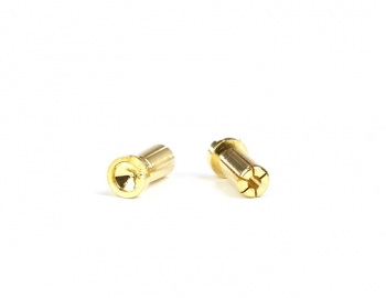 Gold Battery Bullets (2) | Low Profile | 5mm – Capital RC